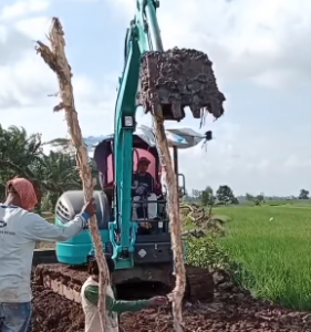 Pondasi Cerucuk Kayu Galam dan Geotextile untuk Jalan Gambut Lebih Kuat