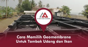 Terpal Geomembrane untuk Kolam Ikan Awet Tahan Lama